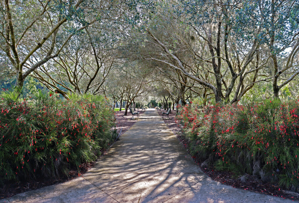 POINTS OF INTEREST – Sholom Park