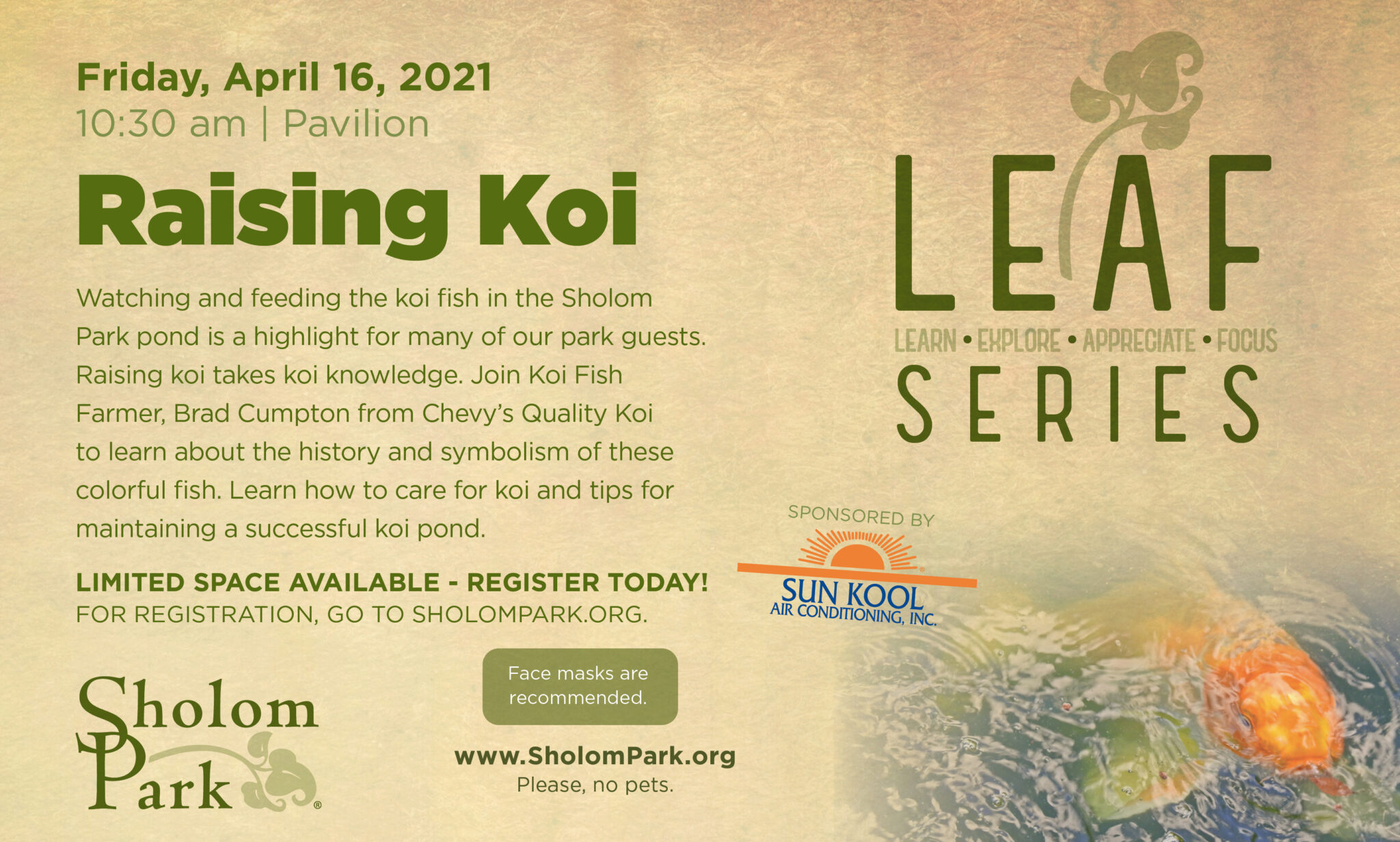 LEAF Series: Raising Koi – Sholom Park